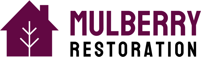 Mold - Mulberry Restoration